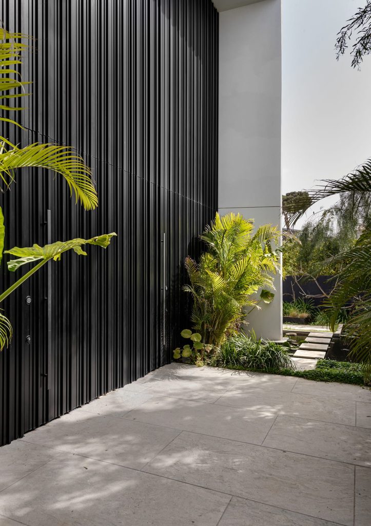 SHAPE OF SILENCE - Erez Hyatt